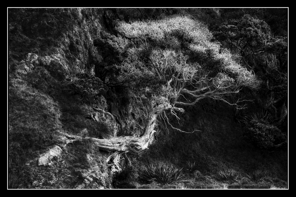 Cliff Threadgold